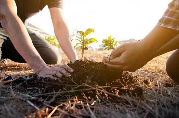 3 Simple Ways To Help Your Community Thrive