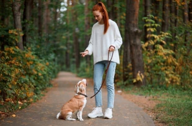 Steps To Developing a Healthy Relationship With Your Puppy